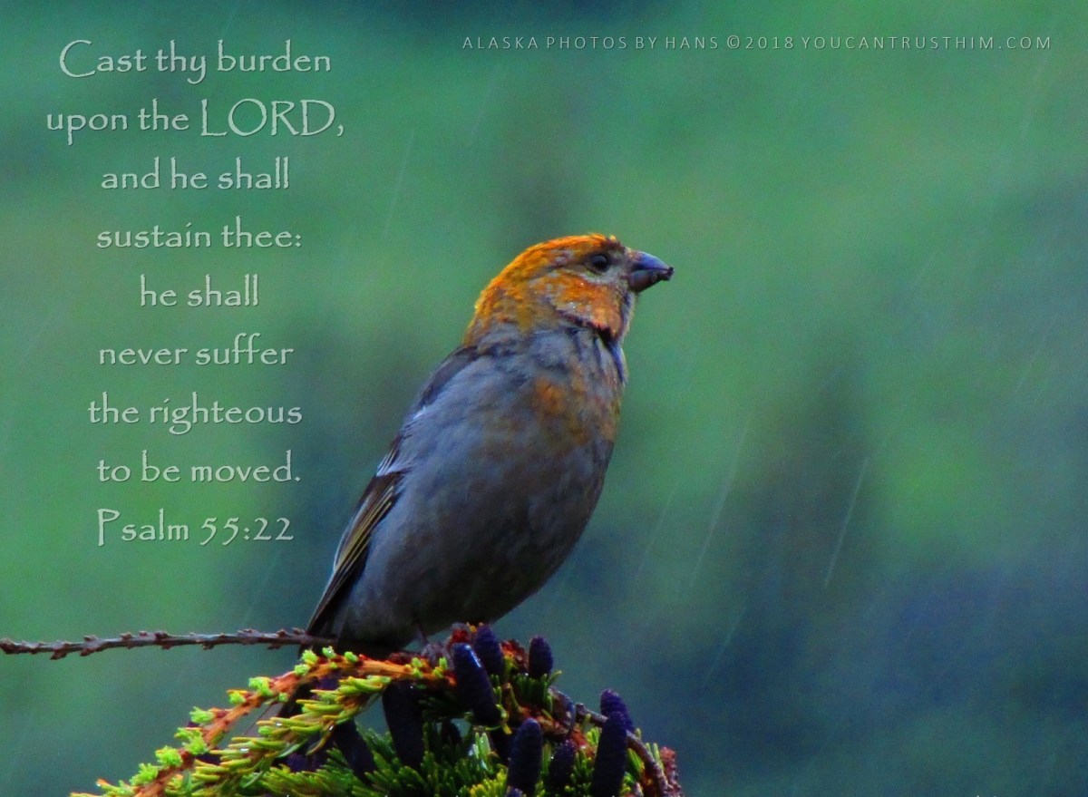 Thoughts on Psalm 55 – You Can Trust Him